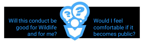 Code of Conduct | Wildlife